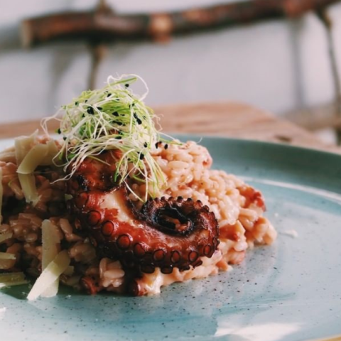 12 Mouthwatering Octopus Recipes for Seafood Lovers - Foodie Haven