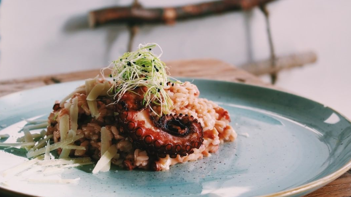 12 Mouthwatering Octopus Recipes for Seafood Lovers - Foodie Haven