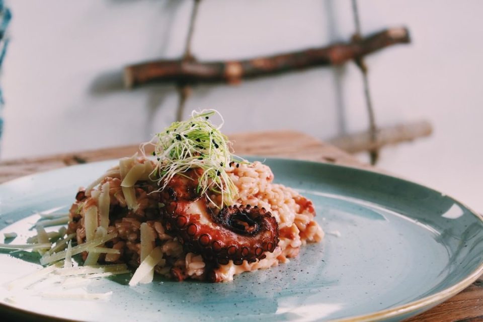 12 Mouthwatering Octopus Recipes for Seafood Lovers - Foodie Haven