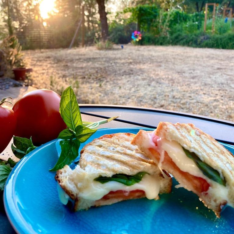 Upgrade Your Lunch with These 15 Fancy Sandwich Recipes - Foodie Haven