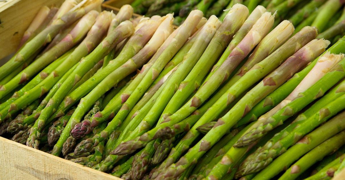 10 Vegetables That Keep Producing With Minimal Effort - Foodie Haven