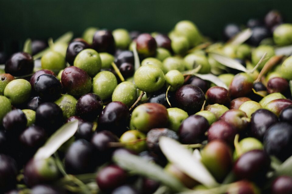 15 Foods That People Either Love or Absolutely Hate – Foodie Haven