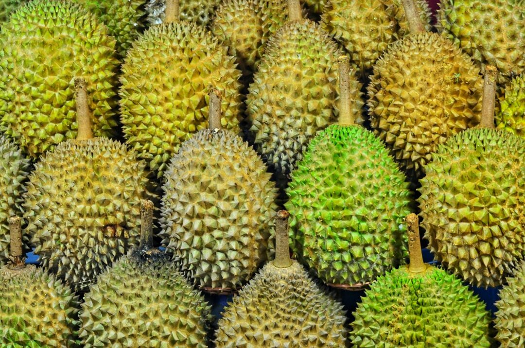 15 Foods That People Either Love or Absolutely Hate – Foodie Haven