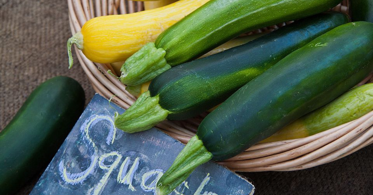 10 Facts To Know About Zucchini’s Toxicity - Foodie Haven