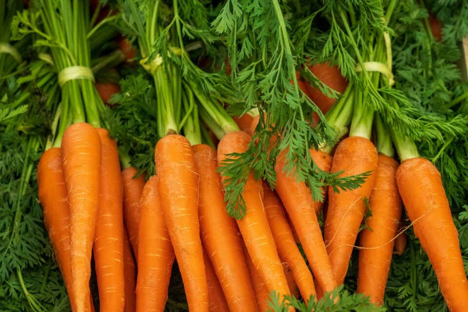 30 Foods That Are Actually Healthy and Taste Good - Foodie Haven