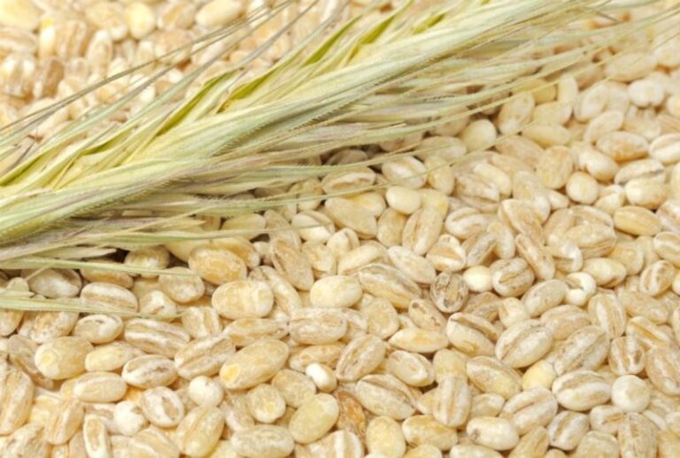 These 21 Biblical Foods Are Still on Your Dinner Table - Foodie Haven