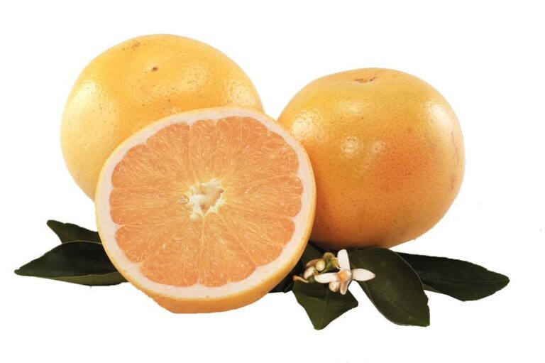 14 Grapefruit Varieties to Know- 9 Classics and 5 Bold New Picks ...