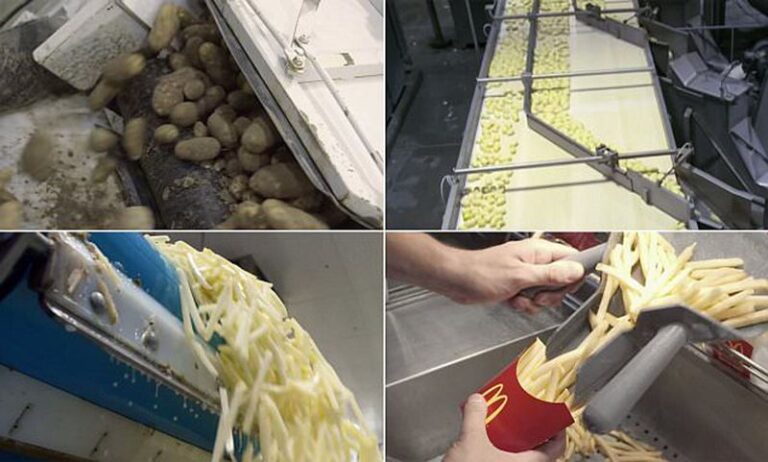 10 Secrets Behind McDonald’s Fries That Might Change the Way You Snack ...