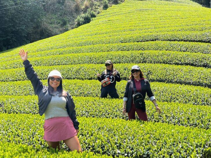 These 16 Global Teas Share One Secret (They Transform Your Health in ...