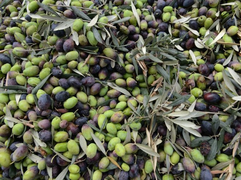 These 21 Biblical Foods Are Still on Your Dinner Table - Foodie Haven