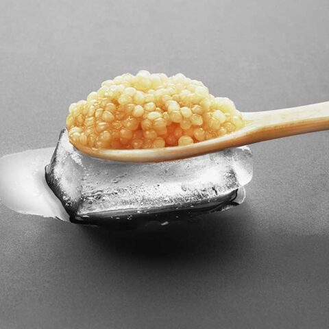 15 of the World’s Most Expensive Foods (And Why They Cost So Much ...