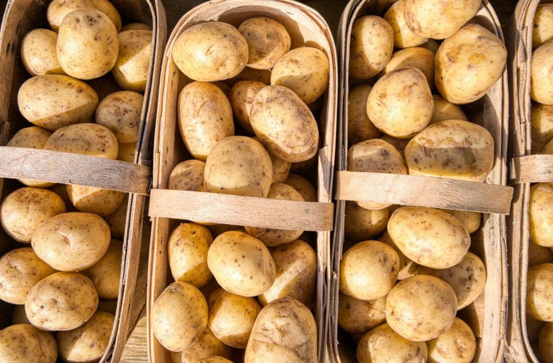 15 Foods That Stay Fresh the Longest - Foodie Haven