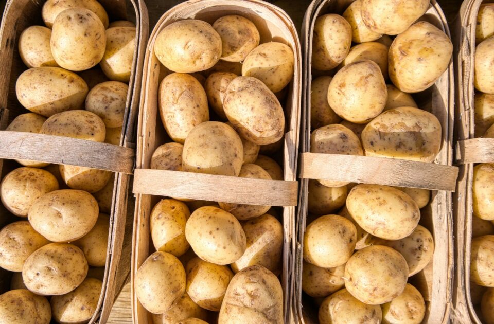 15 Foods That Stay Fresh the Longest - Foodie Haven