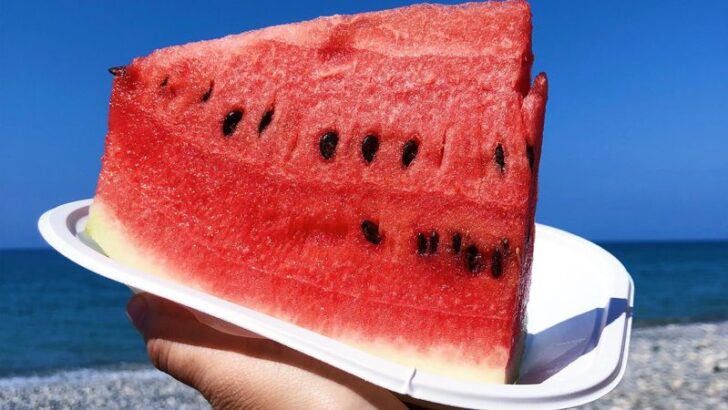 35 Perfect Beach Foods That Stay Fresh and Tasty All Day - Foodie Haven