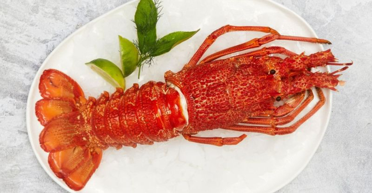 Ever Wondered How Many Types of Lobster There Are? Here's a Breakdown ...