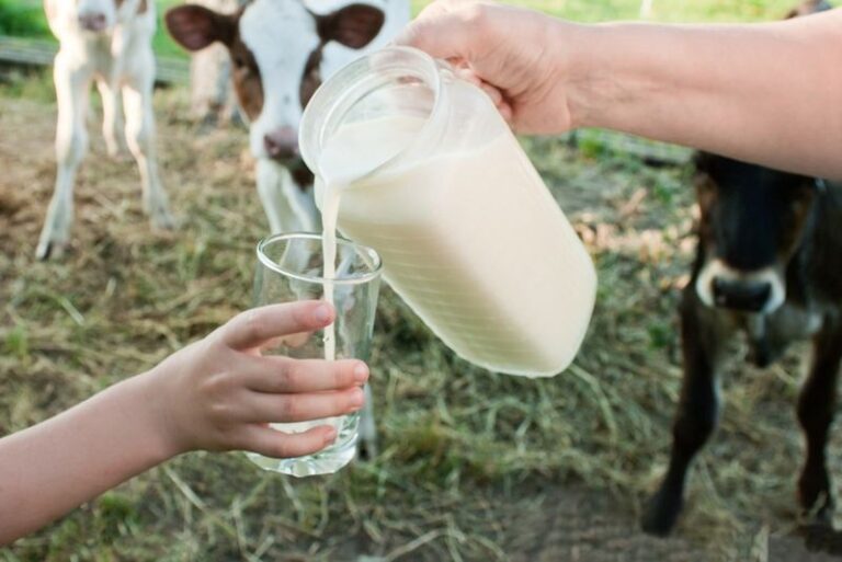 How to Separate Fact From Fiction: 14 Raw Milk Myths Explained - Foodie ...