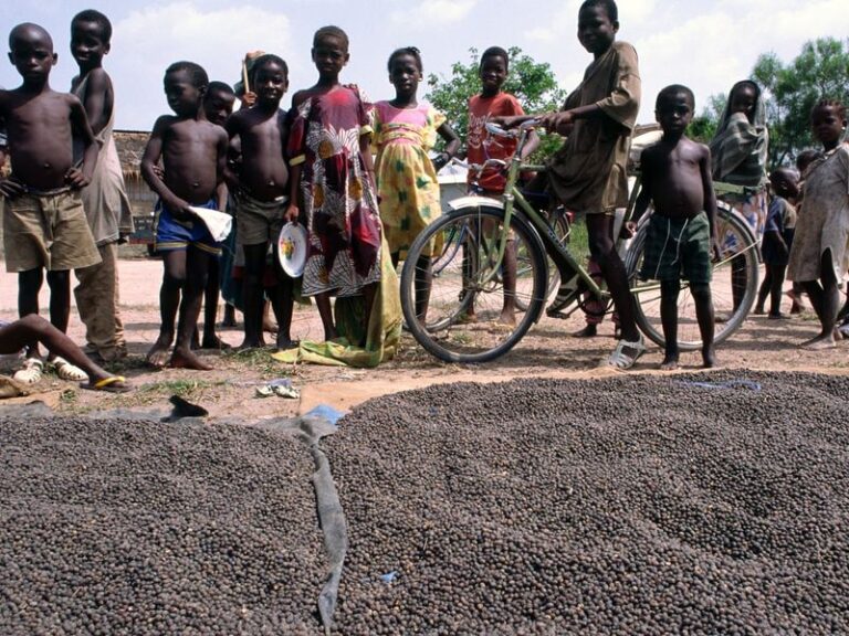 Why People Are Boycotting This Popular Chocolate Brand in 2025 - Foodie ...