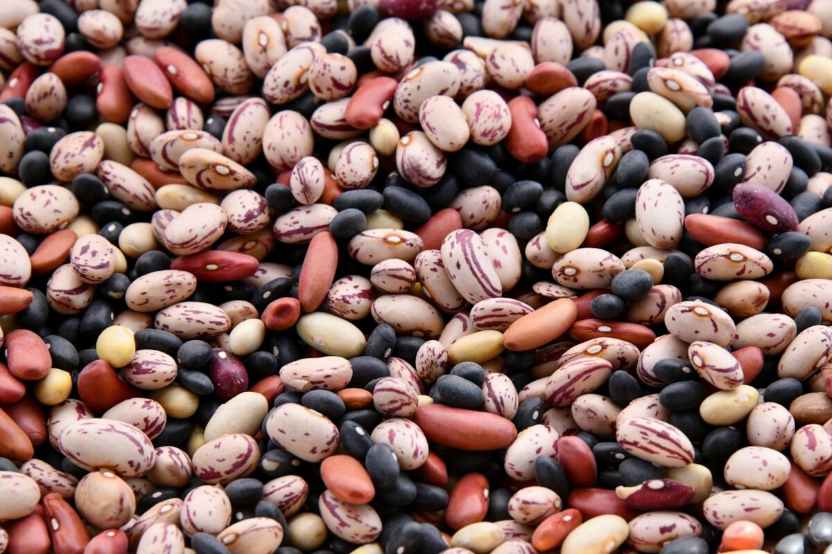 15 Foods That Stay Fresh the Longest - Foodie Haven